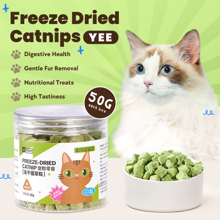 Freeze-Dried Catnips Cat Grass || Catnip Cat Chew Treats Snack ...