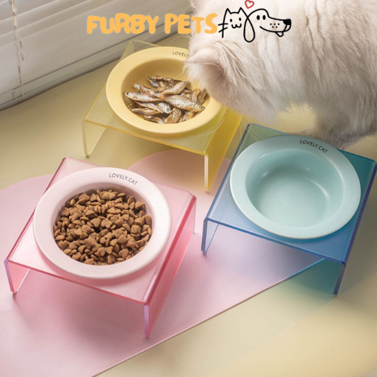 Pet bowl ceramic elevated cat bowl dog bowl cat plate | Shopee Singapore