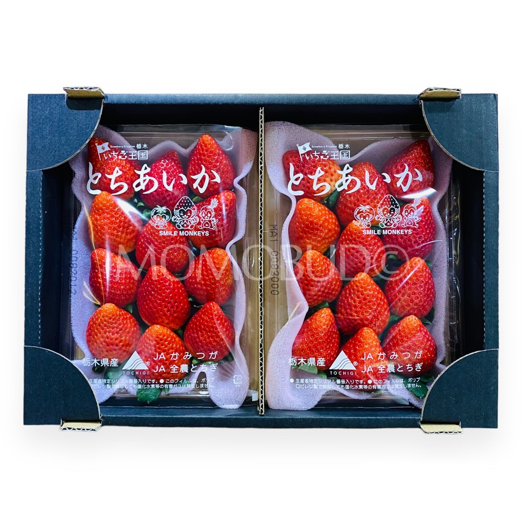 Japanese Tochiaika Ichigo (Strawberry, 320g pack) | Shopee Singapore