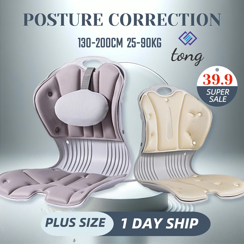 Posture Correction Chair for Adult Ergonomic Posture Lumbar Support 8H ...