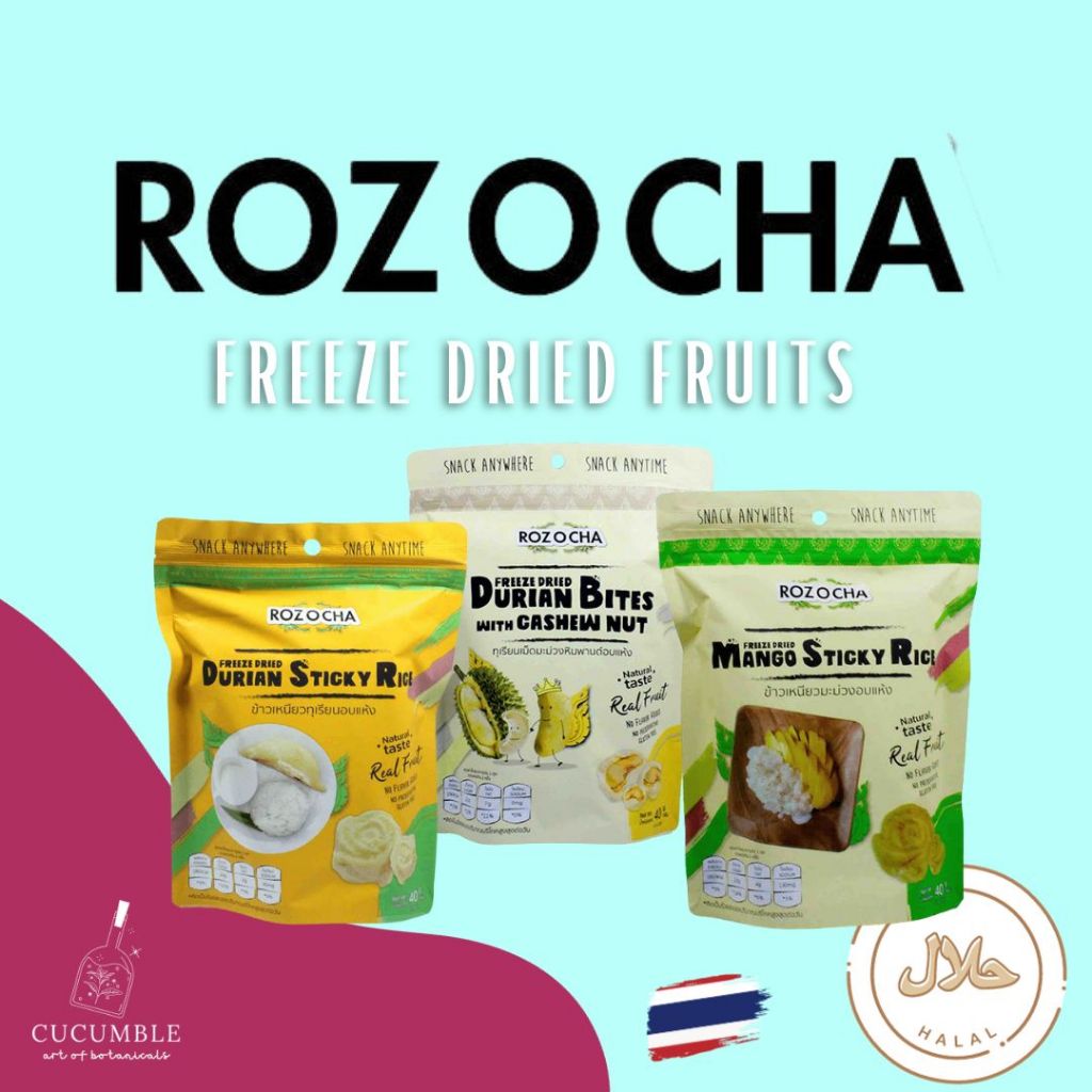 Freeze Dried Durian Sticky Rice Mango Sticky Rice Thailand Halal ...