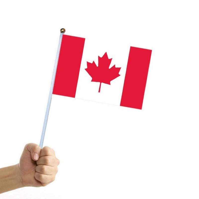 Spot Delivery #6 Canada🇨🇦【5PCS】Hand-Waving Flag 14*21*30cm World Flags ...