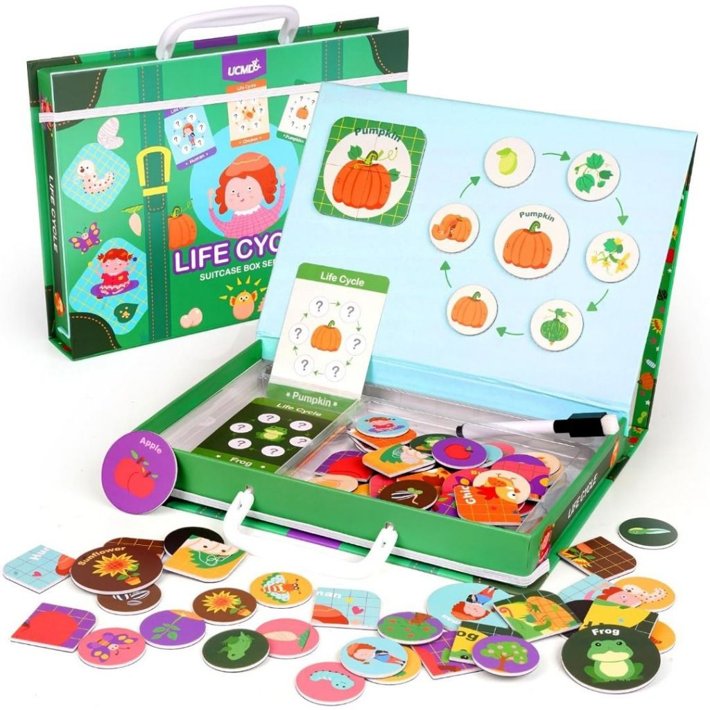 Life Cycle Educational Toys for Kids, Magnetic Lifecycle Busy Book ...