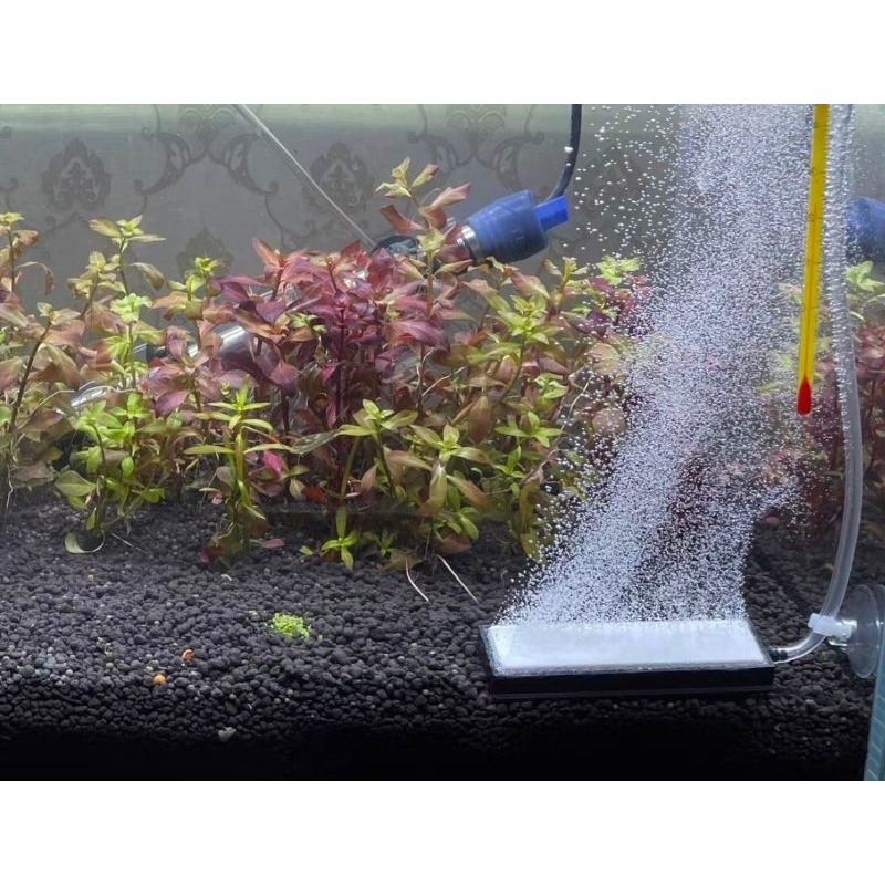 🇸🇬 SG Seller | Nano Bubble Air Diffuser Air Stone Bar Aquarium Fish ...