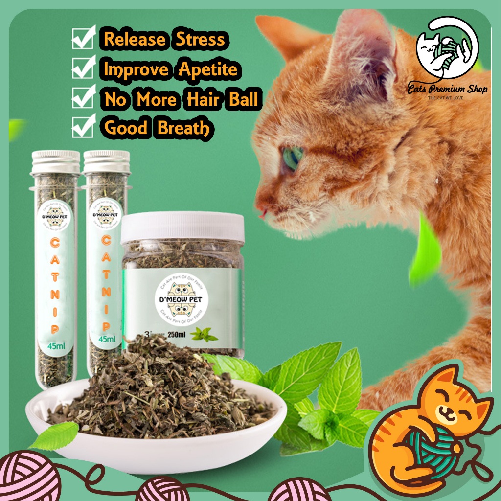 Catnip Powder Test Tube Catmint Catwort Catswort Herb Treats Organic ...