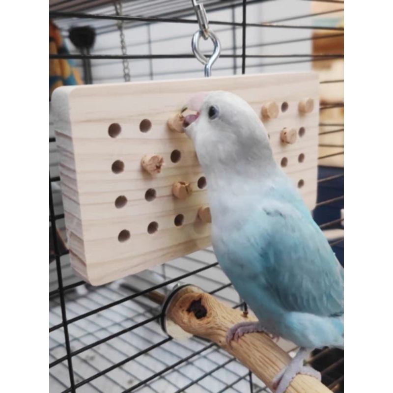 Parrot Wood Chew Bird Toy (Cork Board) | Shopee Singapore