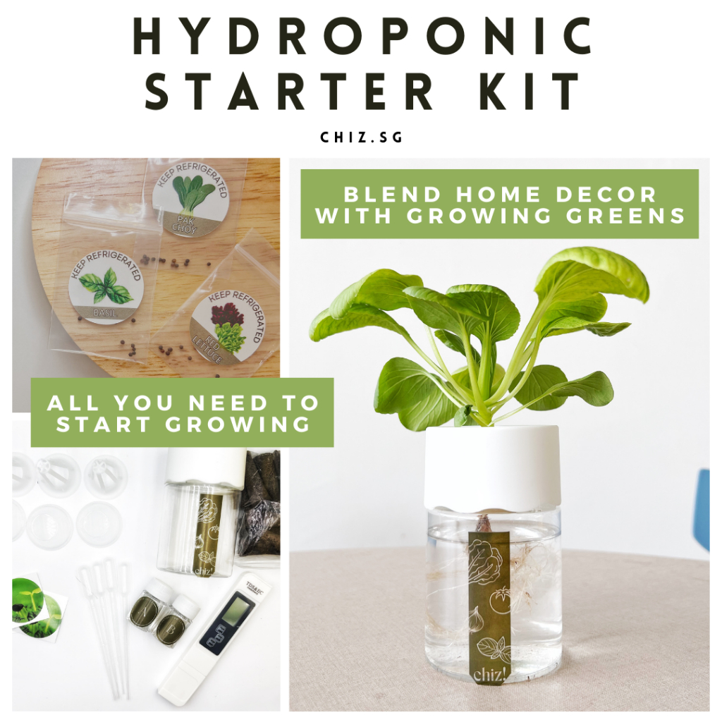 [🇸🇬 seller] Hydroponic Starter Kit | DIY Craft Kit | Shopee Singapore