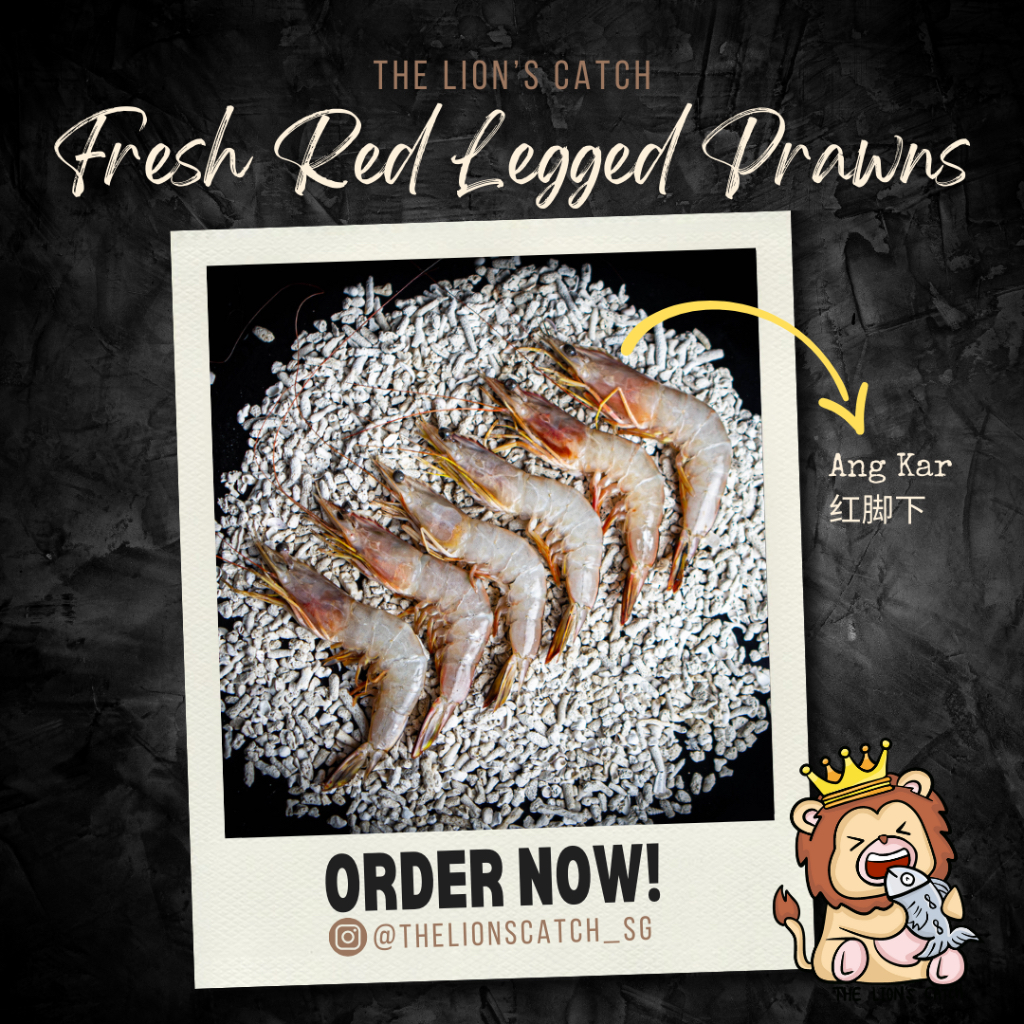 FRESH RED LEGGED PRAWNS - ANG KAR (红脚虾） | Shopee Singapore