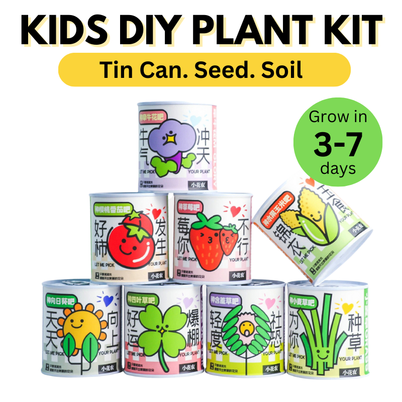 [SG] Kids DIY Plant Kit Blessing Series Easy to Grow Party Favour ...