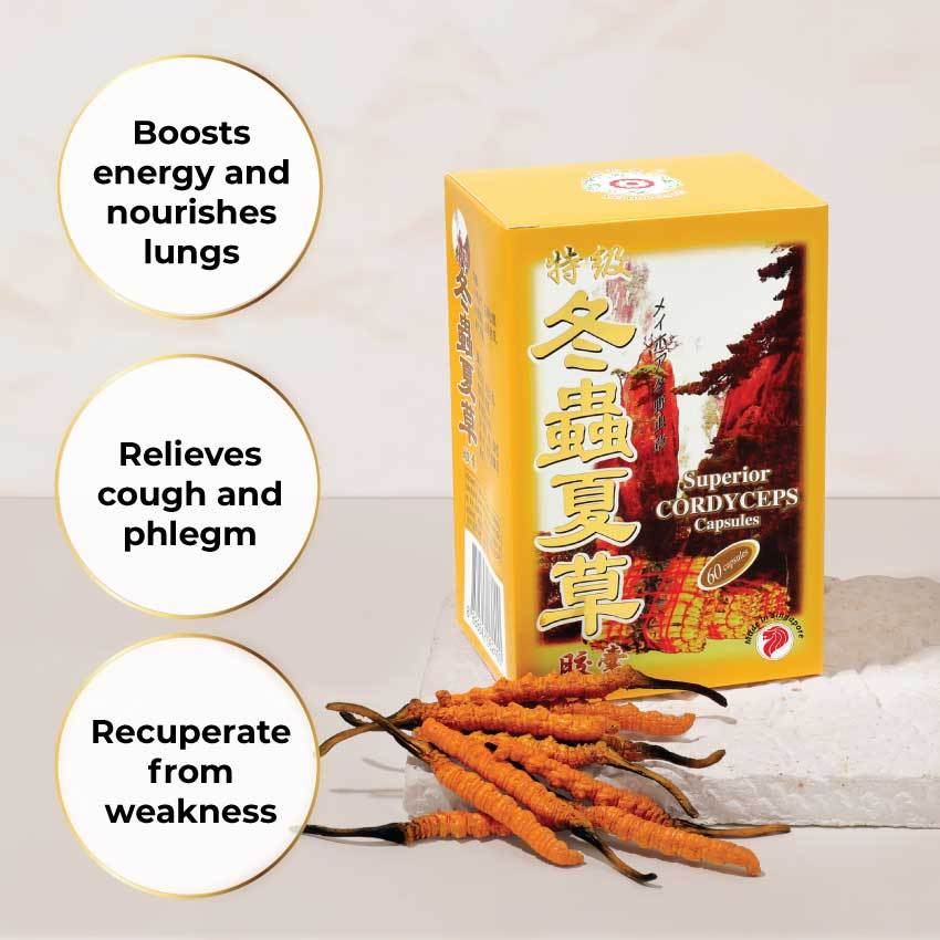 Mei Hua Brand Superior Cordyceps 梅花牌特级冬虫夏草胶囊 (60 Capsules) | Shopee ...
