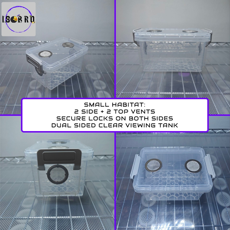 Custom Made Habitat Tank Setup Starter Kit with Mesh Vents & Handle ...