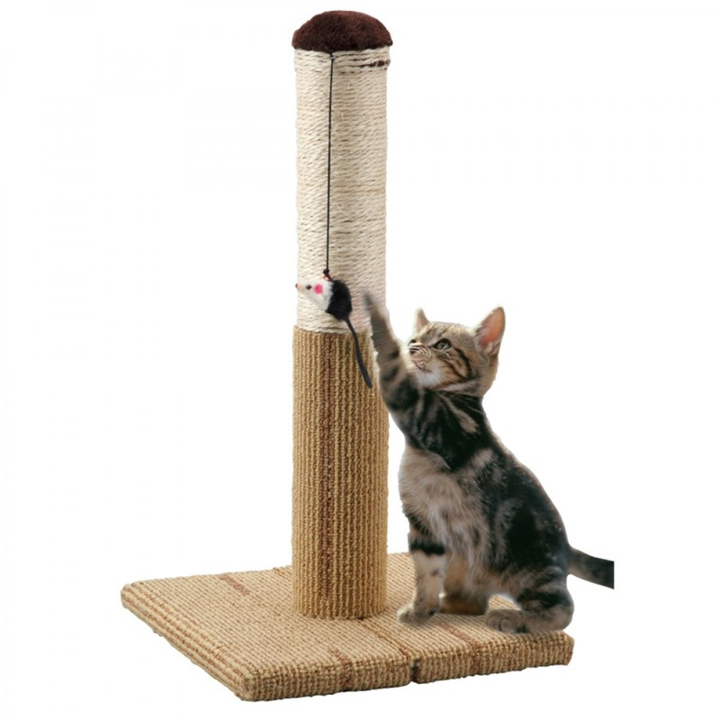 Marukan Foldable Scratch Post For Cats ( CT265 ) | Shopee Singapore