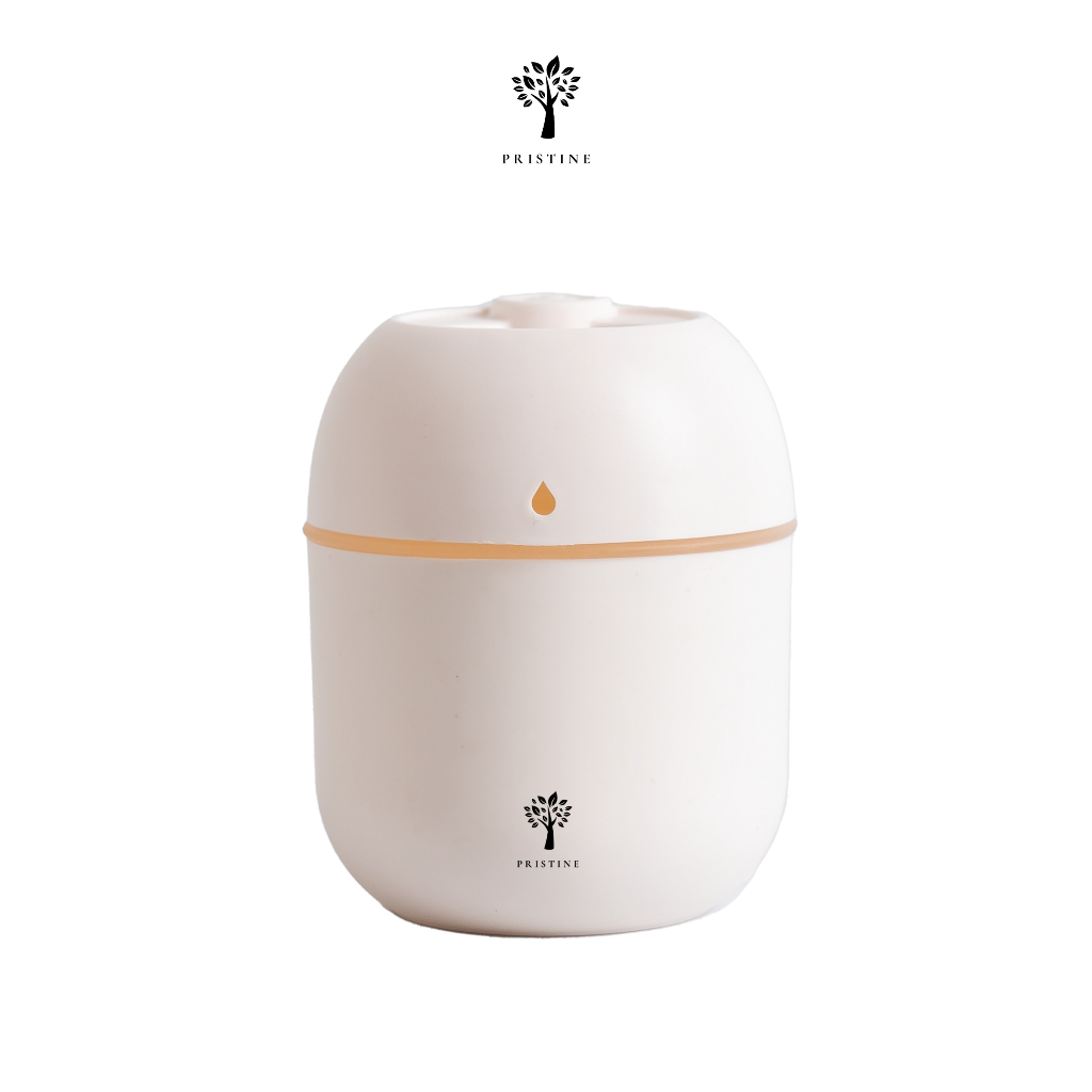 [Gift with Purchase] Mini Humidifier Aroma Diffuser | Fragrance Aroma ...