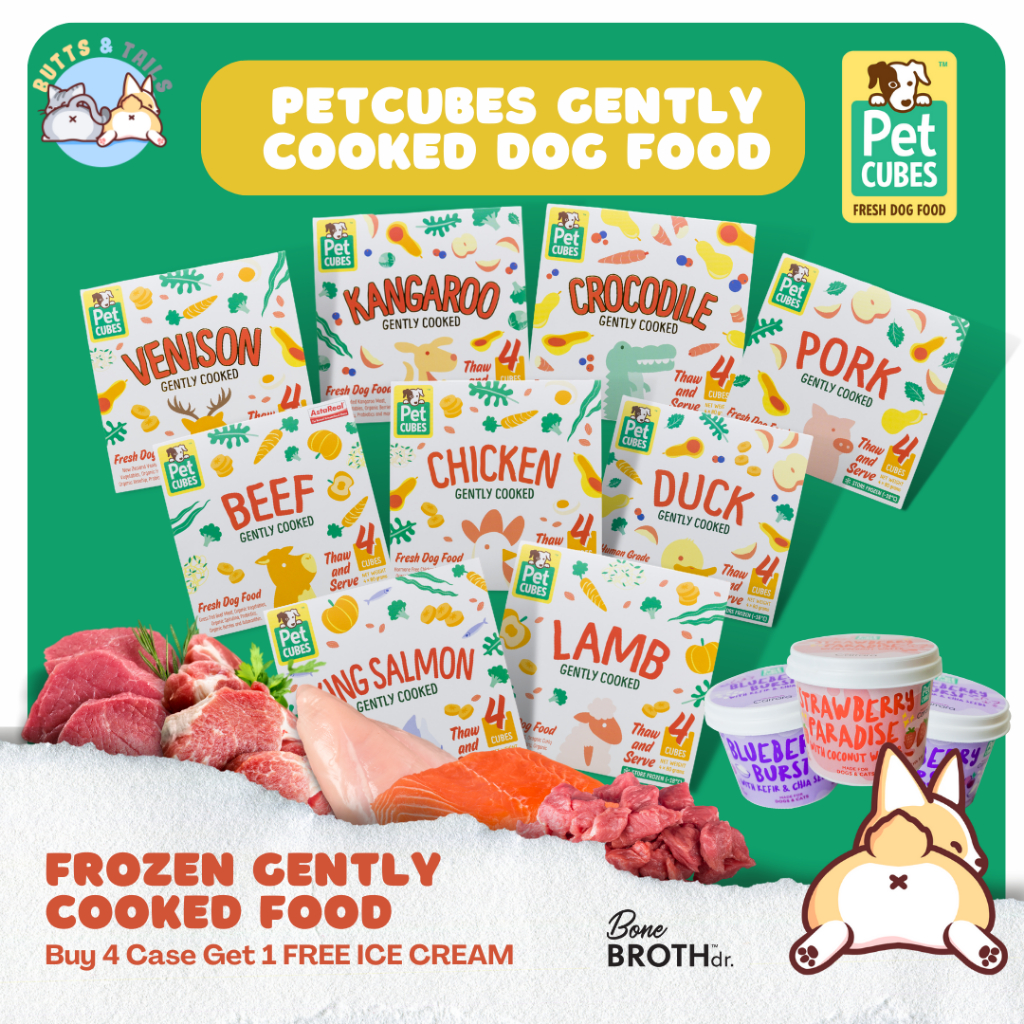 Pet Cubes Gently Cooked Frozen Dog Food (Any 4 Box, Get 1 Free Ice ...