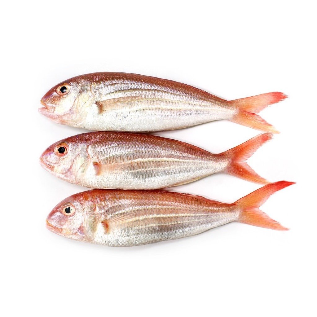 Ang Go Li Fish 红哥里鱼 (White Snapper) | Shopee Singapore