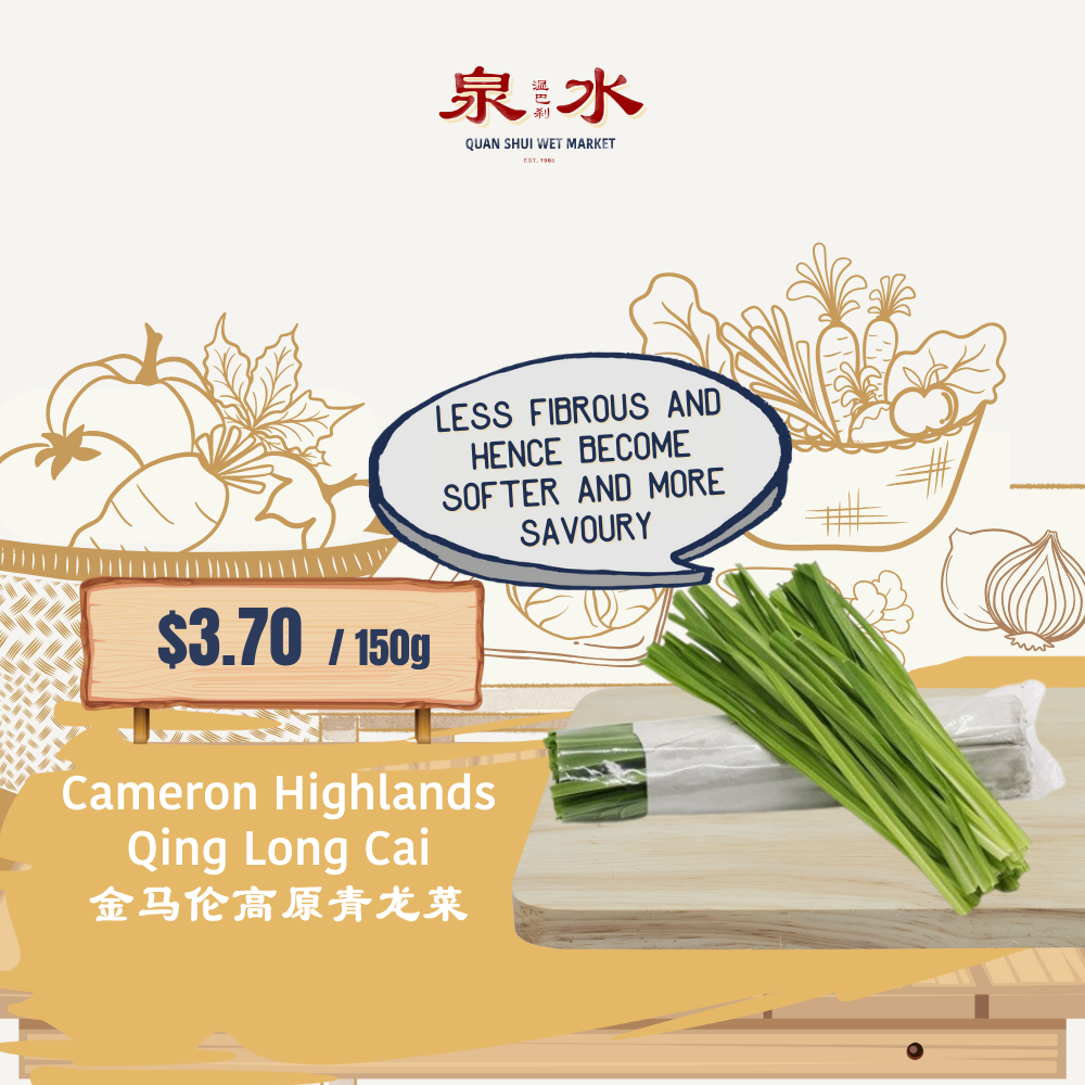 Cameron Highlands Qing Long Cai 金马伦青龙菜 | Shopee Singapore