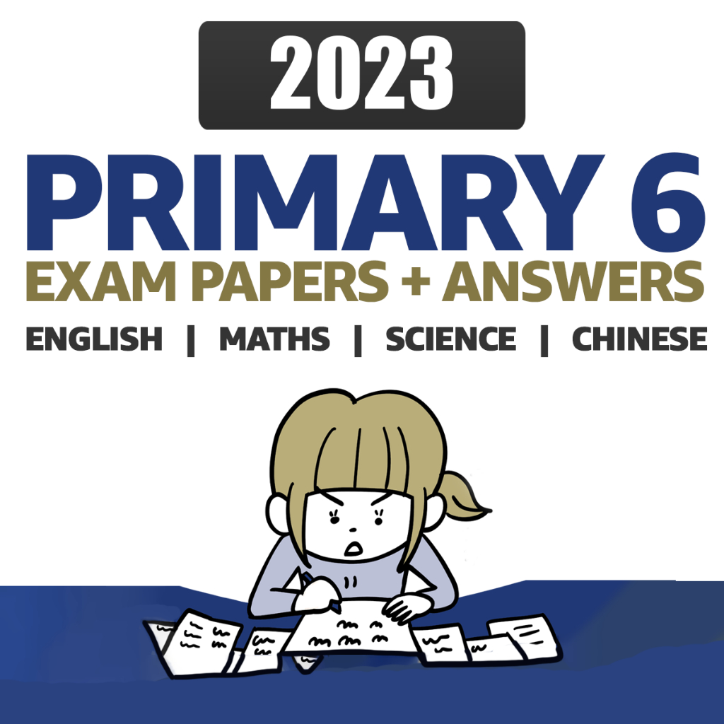 2023 Primary 6 School Exam Paper (HARD COPY with Answers) | Shopee ...
