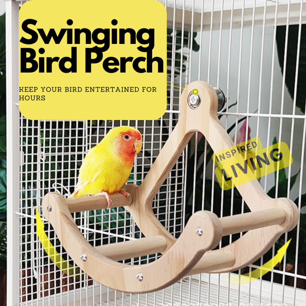 Swinging Bird Perch | Natural Wood Hanging Swing for Parrots & Small ...