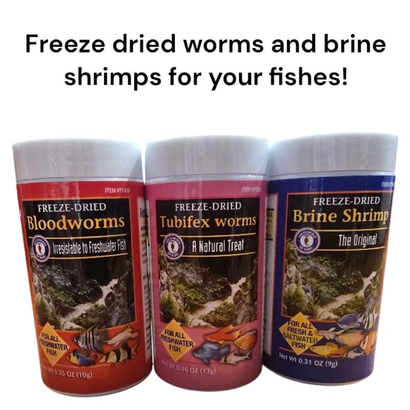 Freeze dried bloodworm, tubifex and brine shrimp for all fishes ...