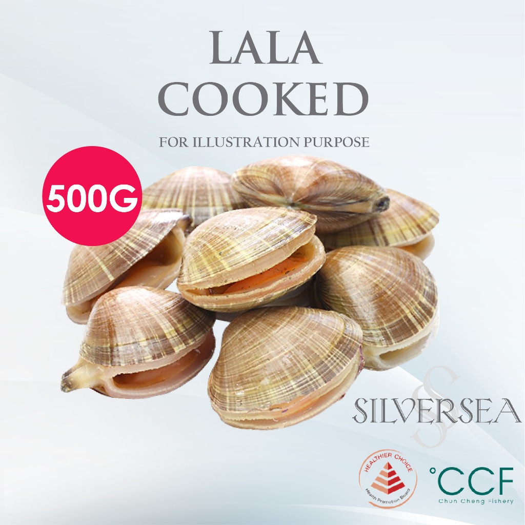 Silversea - Whole Shell White Clam LaLa Frozen Cooked 500G Ready to Eat ...