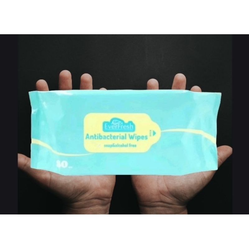 (Bundle Of12,6) Everfresh Antibacterial Wet Wipes Wet Tissue Wipe ...