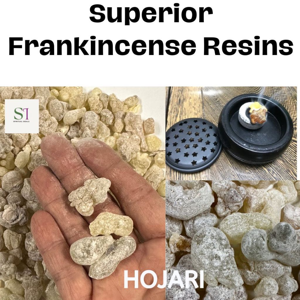 SI Frankincense Resin Royal Hojari White Yellow and Green from Oman and ...