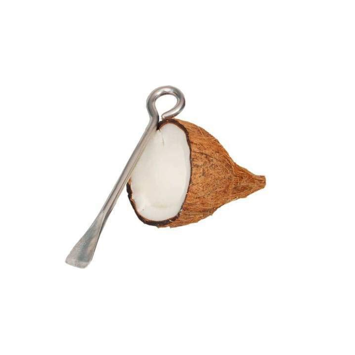 Coconut Steel Rod Opener Straight Peeler (Silver) | Shopee Singapore