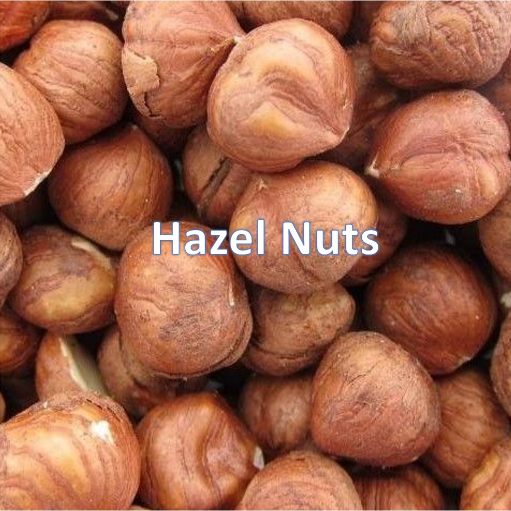 [500g] Mary Chirps Small Hazel Nuts with Shell for Birds and Small ...