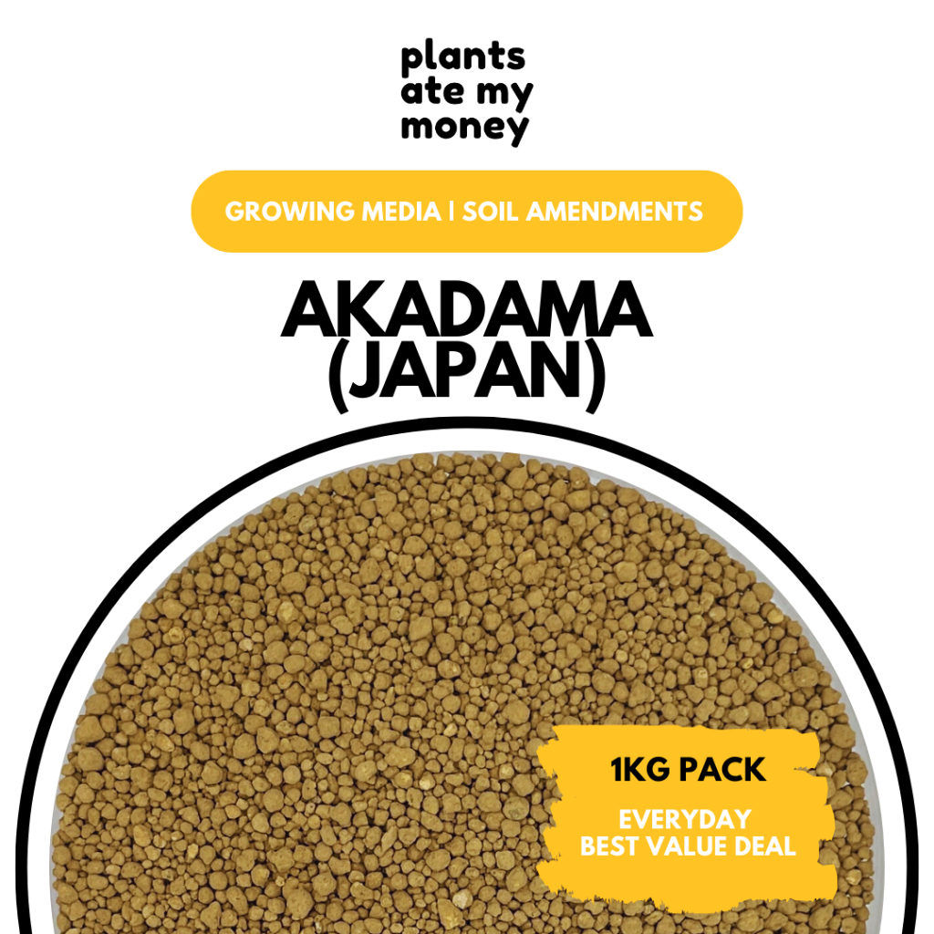 PAMM | Akadama Japan - Growing Media, Soil Enhancer, Potting Mix ...
