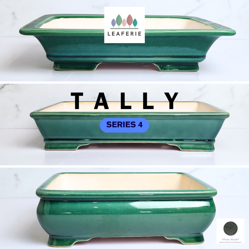 The Leaferie Bonsai Tally (Series 4) rectangular Pot Rectangle Plant ...