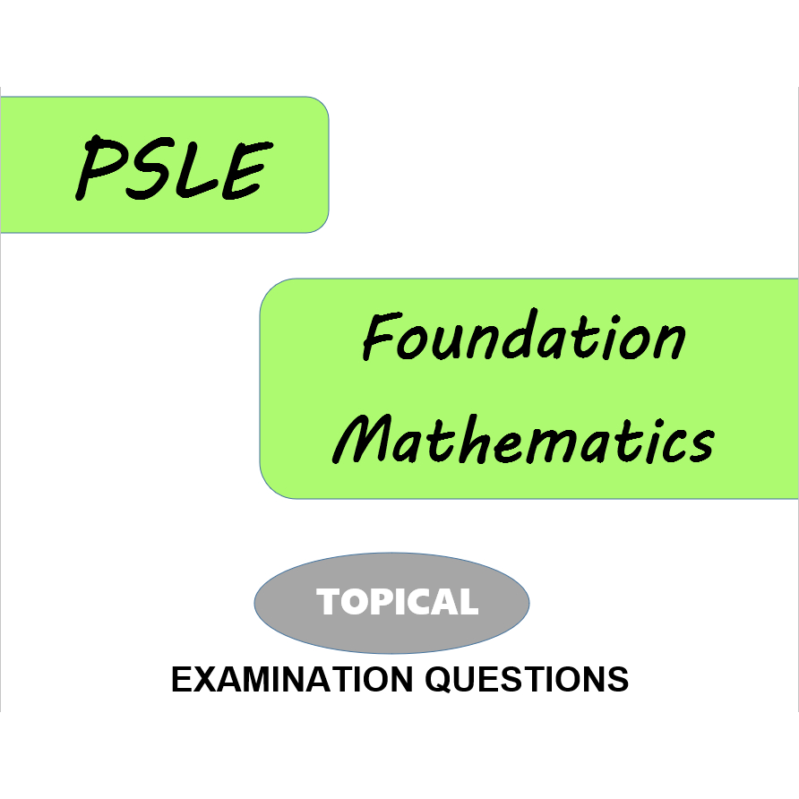 PSLE Foundation Maths (2000 - 2020) | Shopee Singapore
