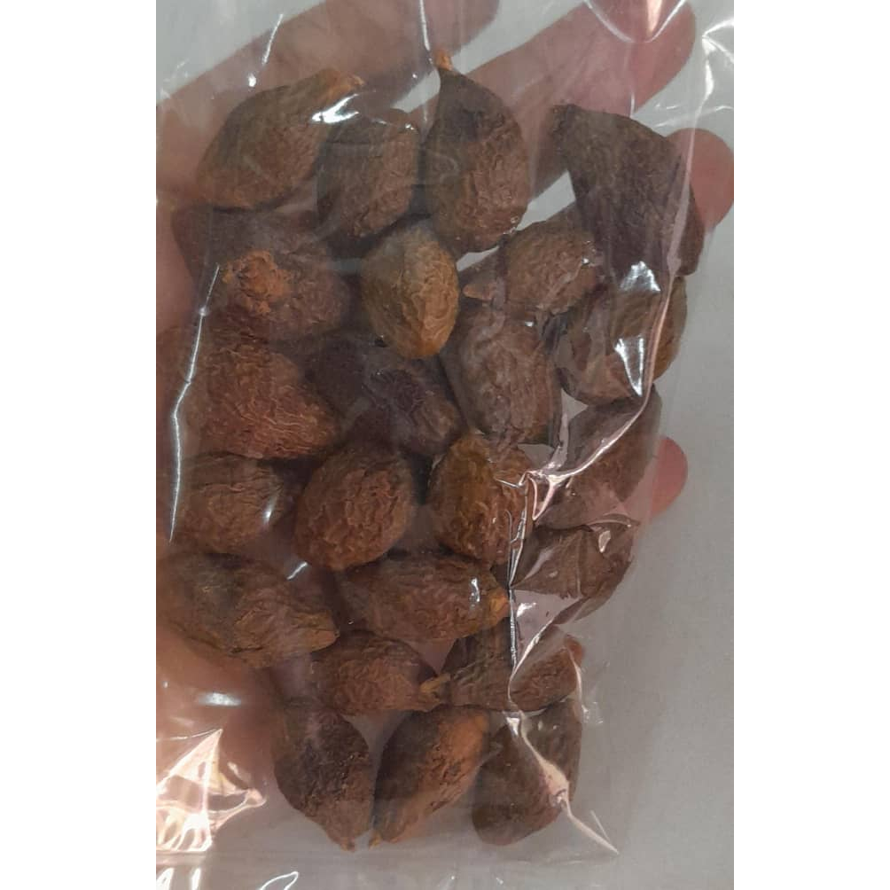 Scaphium affine aka Kembang semangkuk aka Sterculia lychnophora (Pang ...