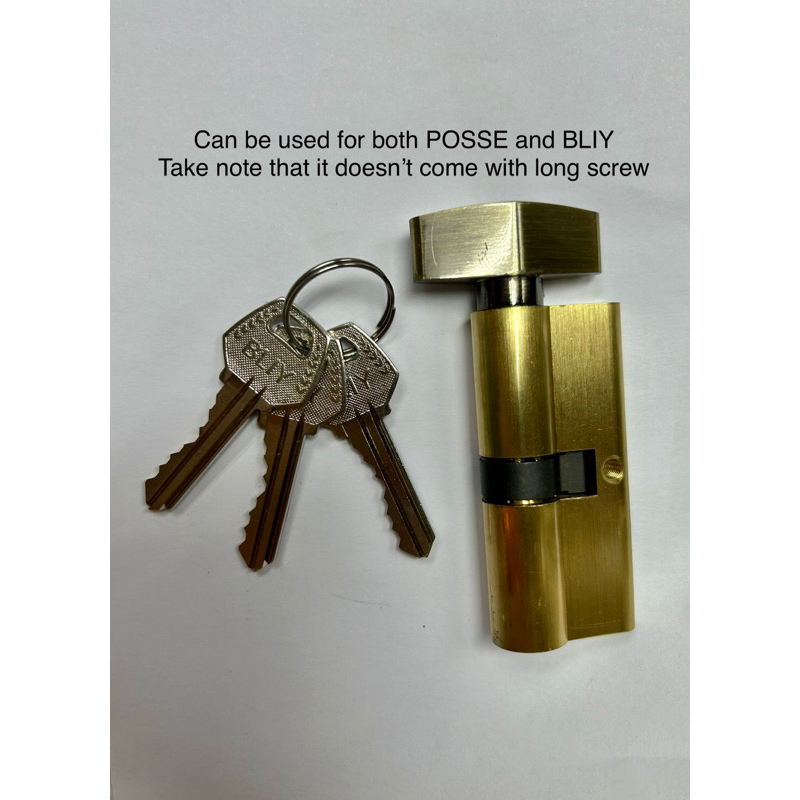 POSSE/BLIY BTO/HDB ENTRANCE DOOR HANDLE (FOR MAIN DOOR) | Shopee Singapore