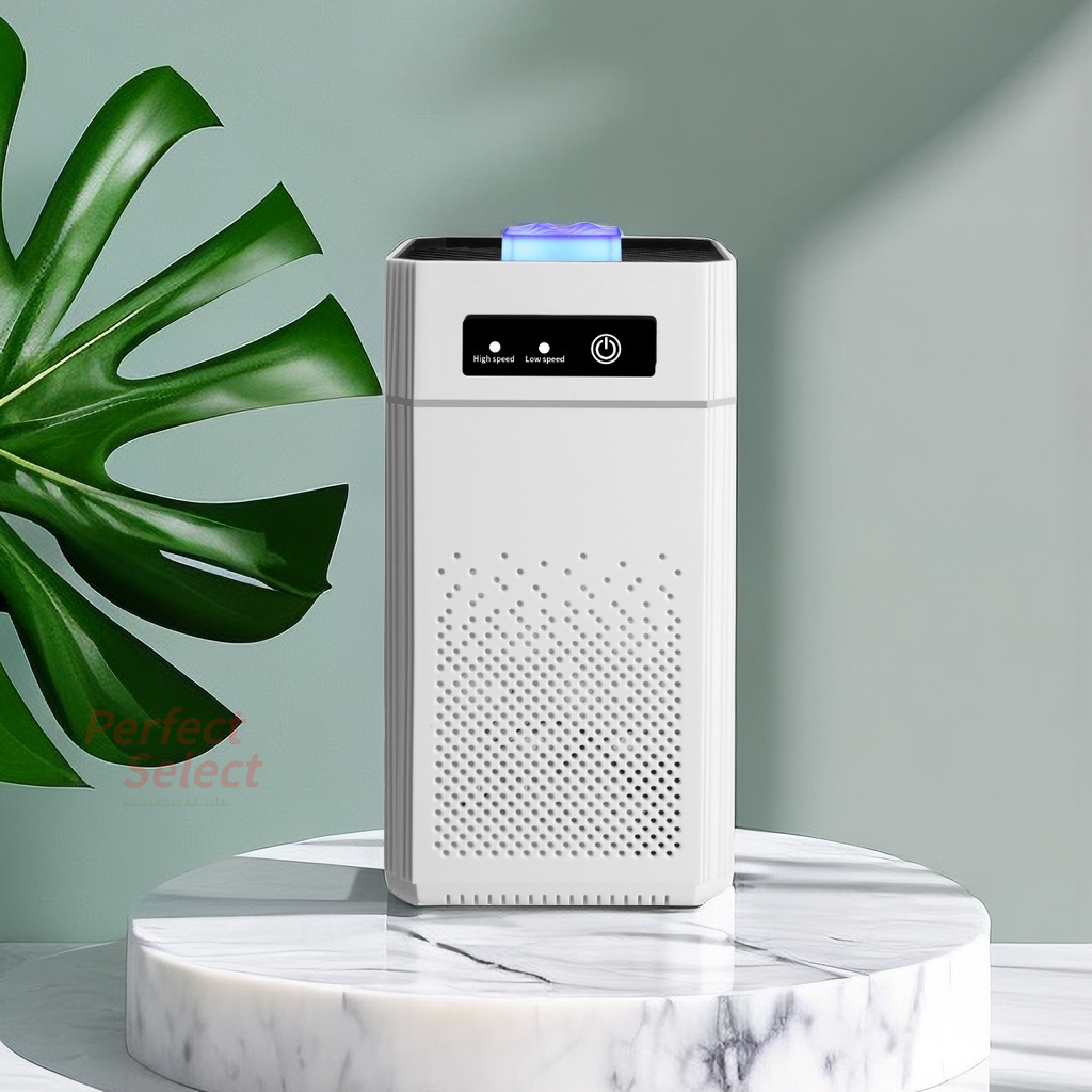 Portable Air Purifier USB Mute Mini Air Purifier Activated Carbon ...