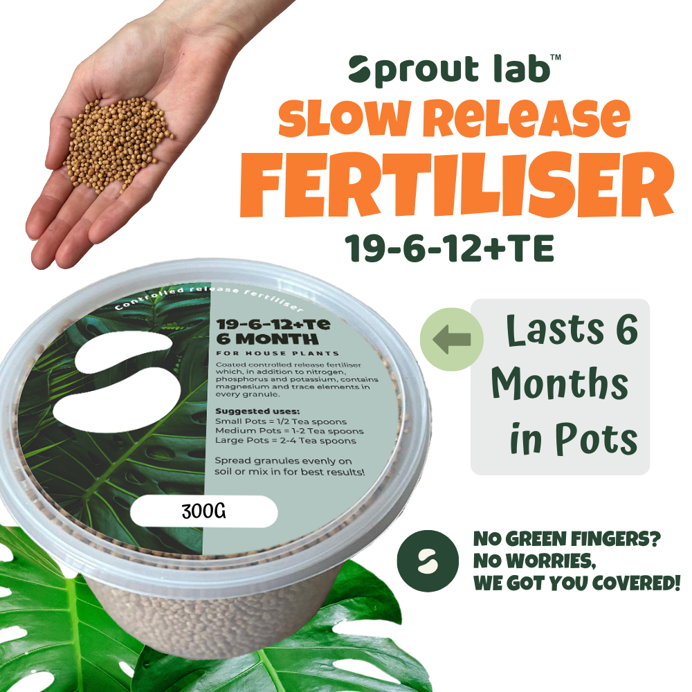Sprout lab | 6 MONTHS HOUSEPLANT SLOW RELEASE Fertiliser | Shopee Singapore