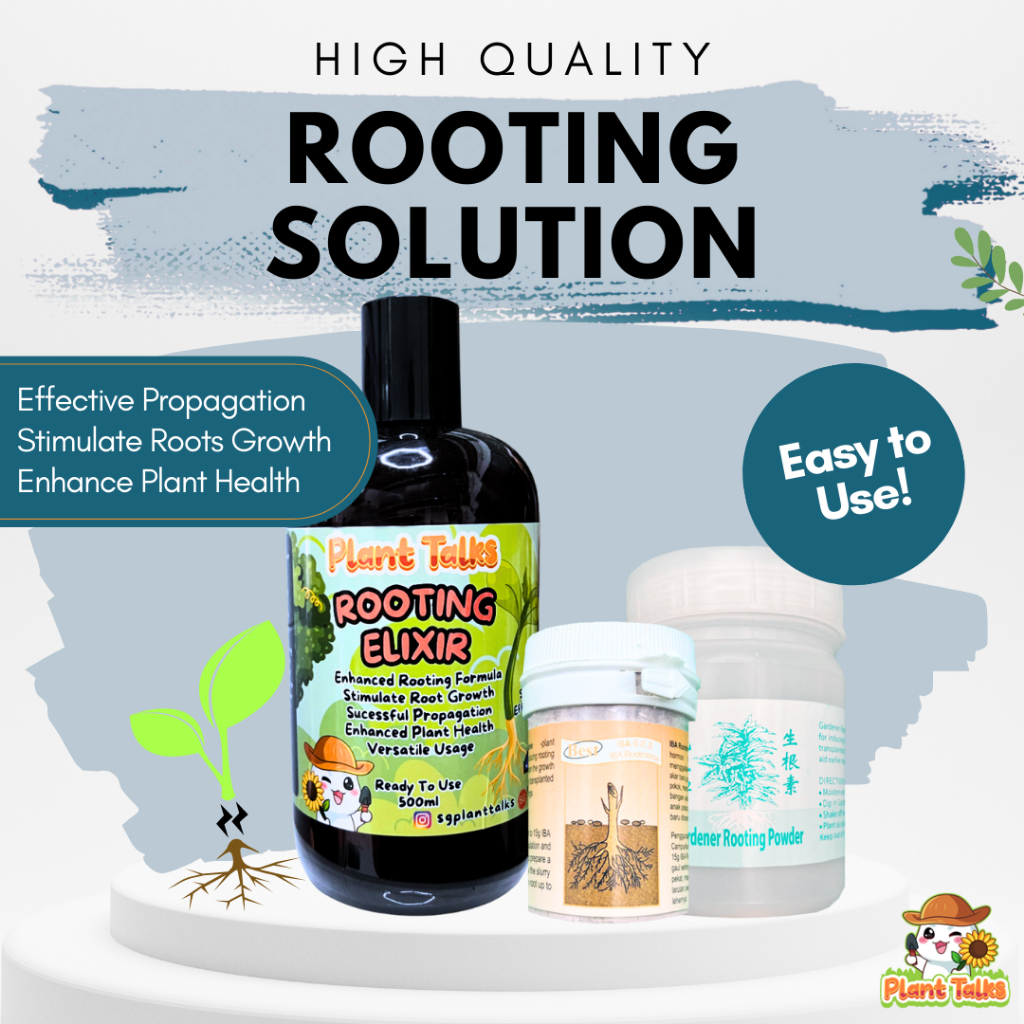 Premium Rooting Powder BEST IBA Rootmone Rooting Plant Hormone Roots ...