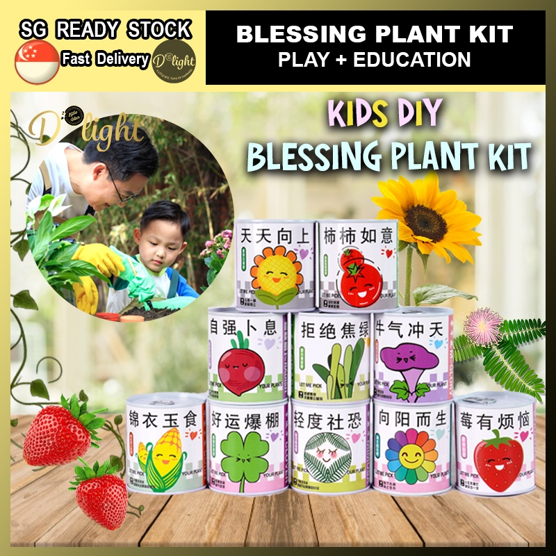 Creative Kids DIY Plant Kit Blessing Series Easy to Grow Party Favor ...
