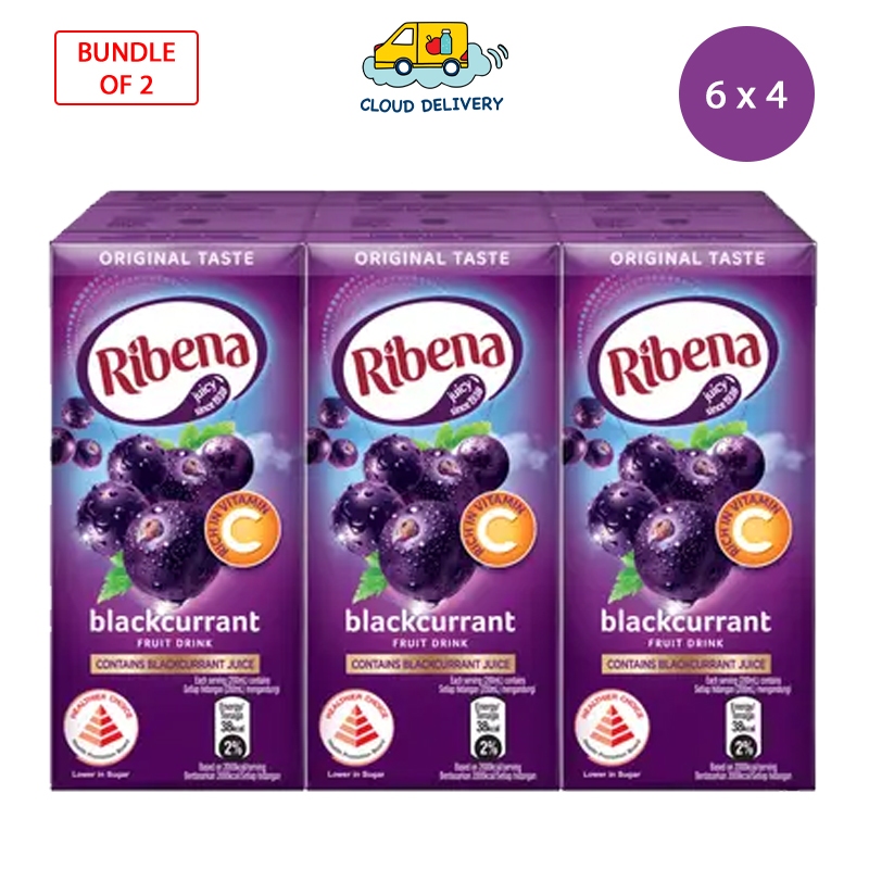 Ribena Blackcurrant Fruit Drink (24 x 200ml) | Shopee Singapore