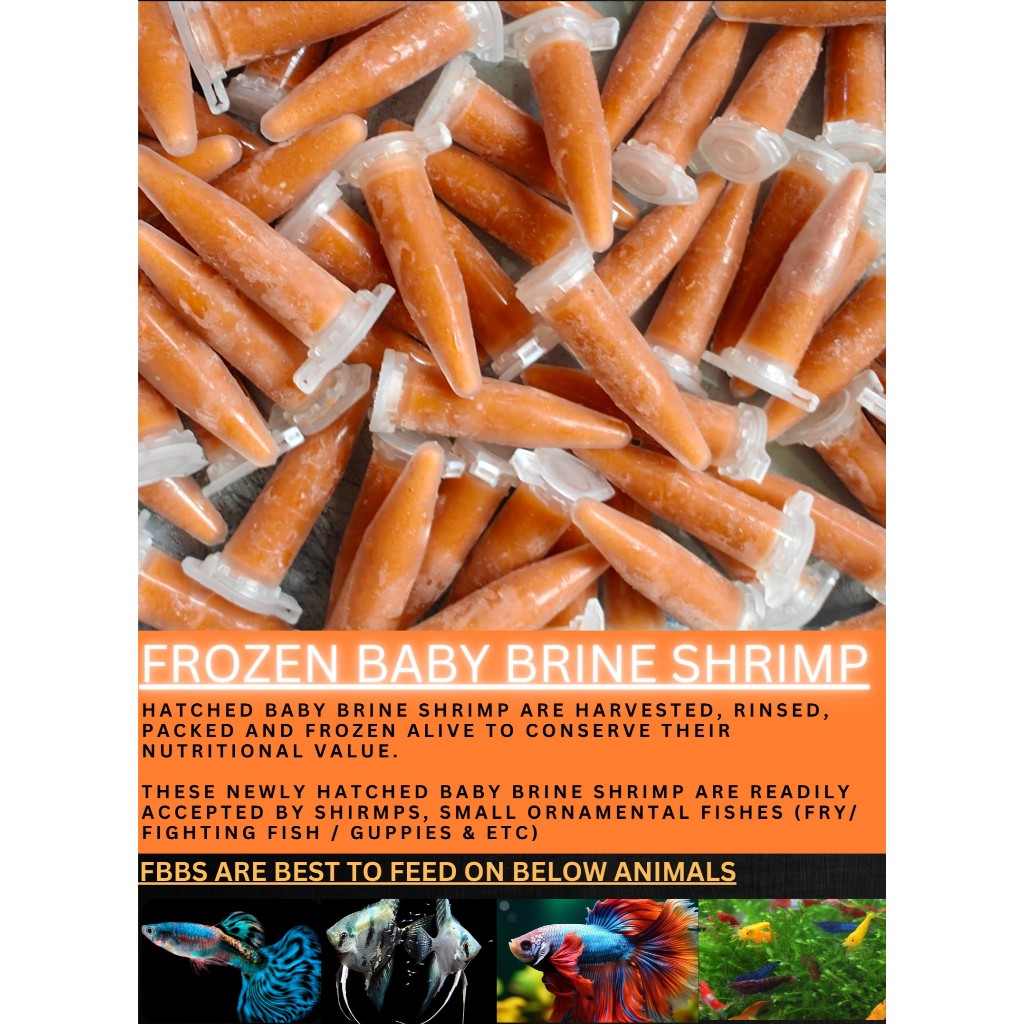 Frozen Baby Brine Shrimp (BBS) Fish food/Fish feed / Artemia nauplii ...
