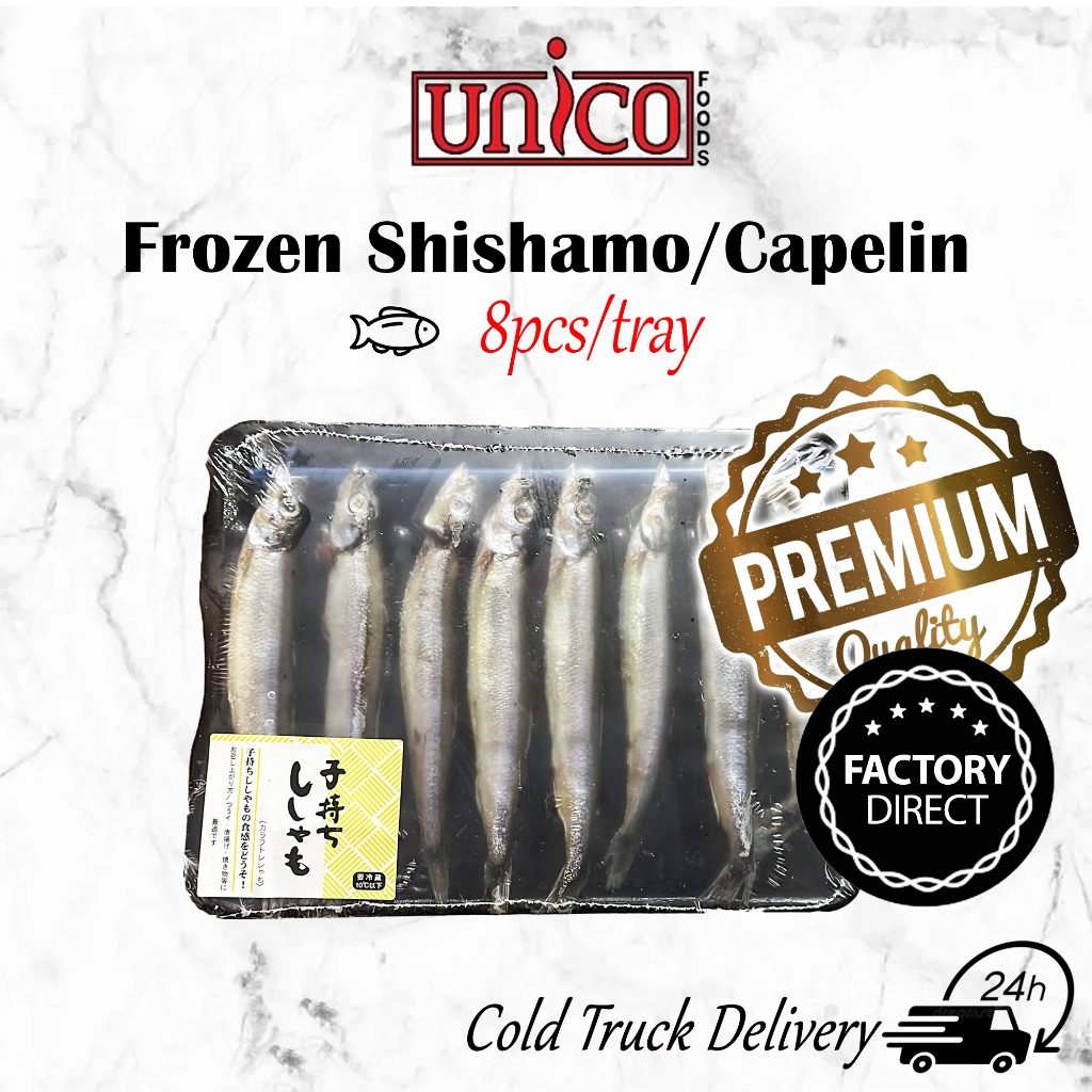 [UNICOFOODS] Frozen Shishamo/Capelin (8pcs/tray) | 多春鱼/柳叶鱼 | Shopee ...