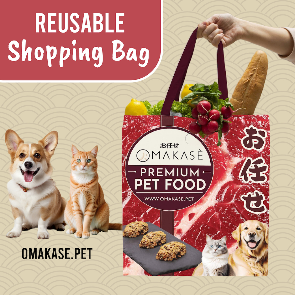 Reusable Shopping Bag | Shopee Singapore