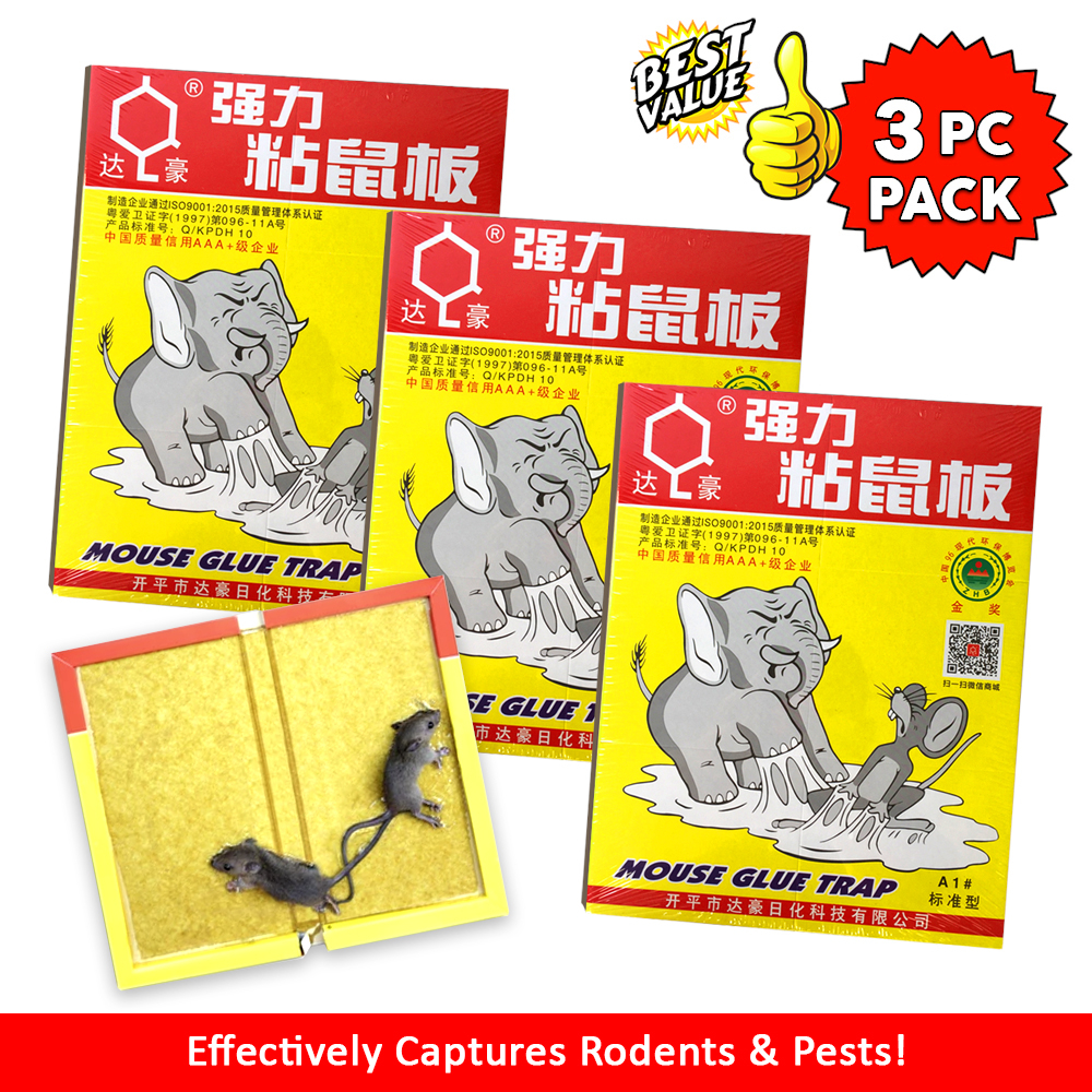 3 Pc Pack | Large Big Mouse Glue Catcher Adhesive Sticky Glue Pad ...