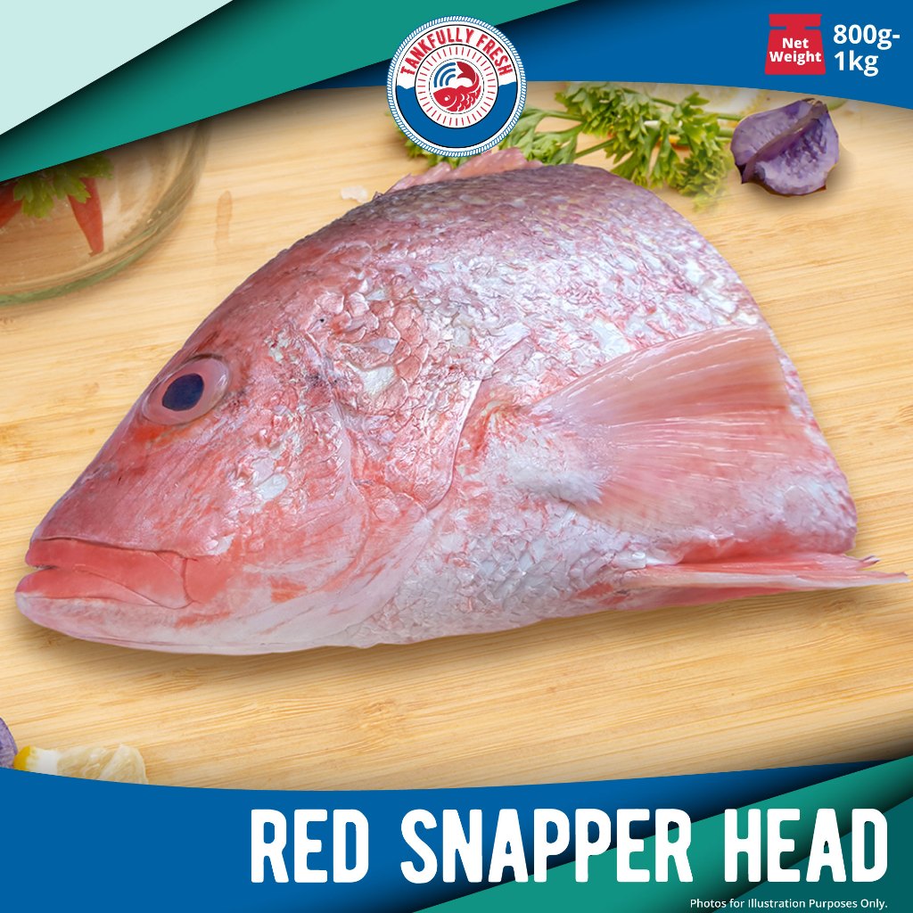 [Tankfully Fresh] Red Snapper Head 红鸡鱼头 (800g-1kg before processing ...