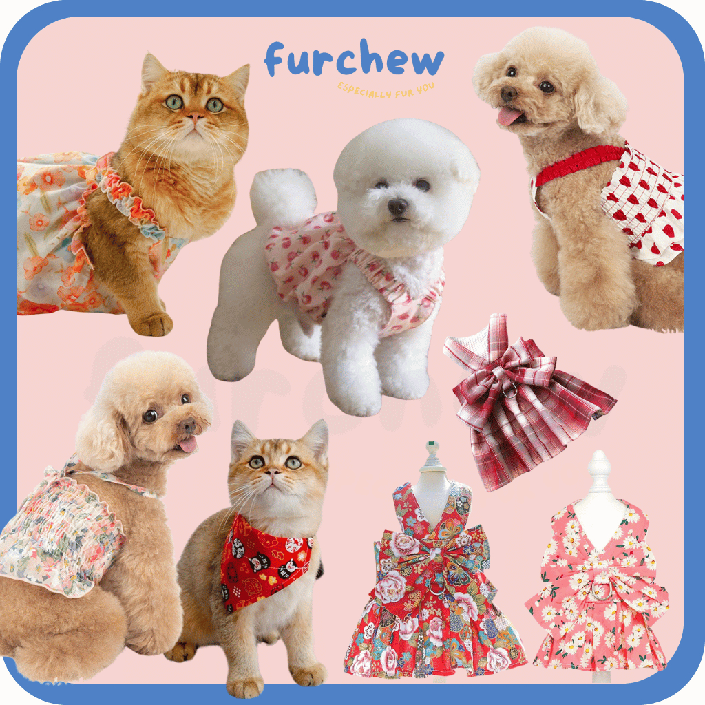 [SG] Pet Chinese New Year CNY Outfit - Floral Red Pink Dress Clothes ...