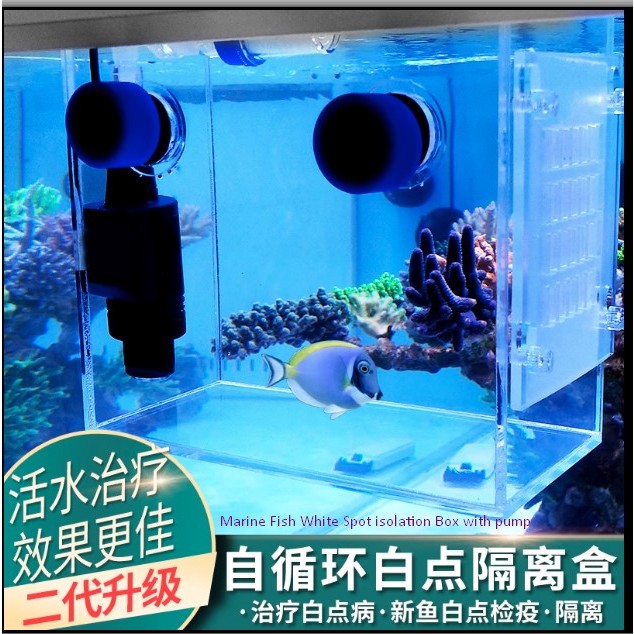 marine fish white spot ich cure hook on isolation box with pump (Medium ...