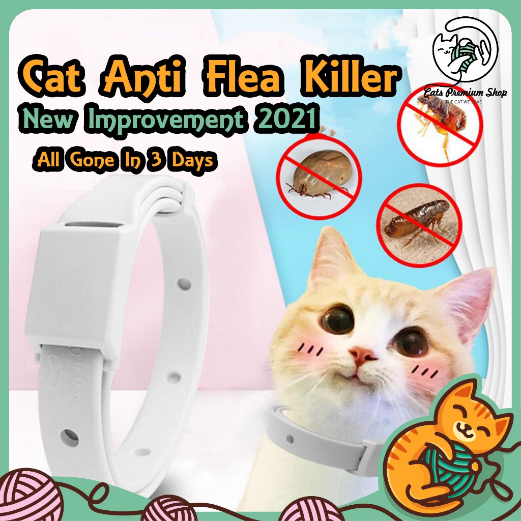Cat Anti Flea Killer Collar necklace necklet | 2021 Kolar Kucing Kutu ...