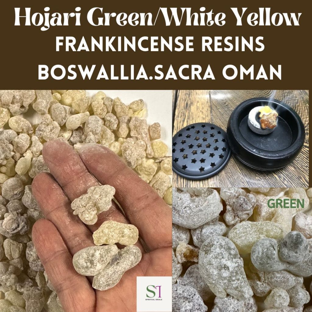 SI Royal Hojari Green/White/Yellow Frankincense Resins from OMAN ...