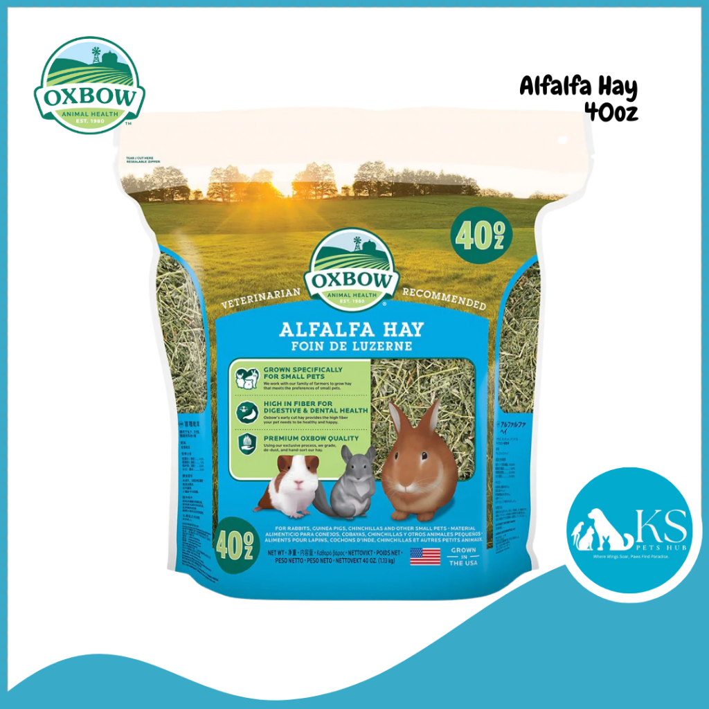 Oxbow Alfalfa Hay 40oz Rabbit Guinea Pig Hay | Shopee Singapore