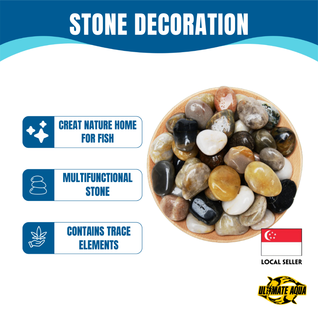 YEE Aquarium Stone, Fish Tank Decoration Stone, Shells And Sand ...