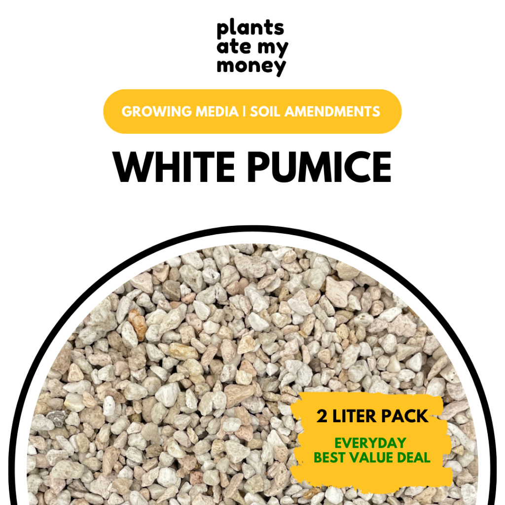 PAMM | White Pumice 2L - White Lava, Growing Media, Soil Enhancer ...